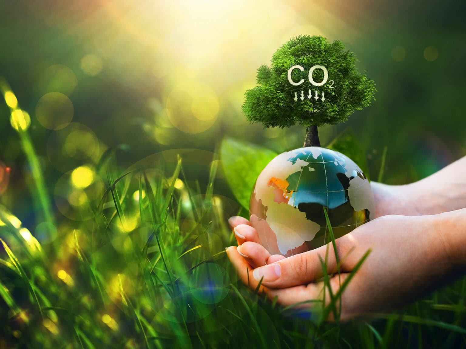 STI/SPFA - Representing the Steel Fabrication Industry